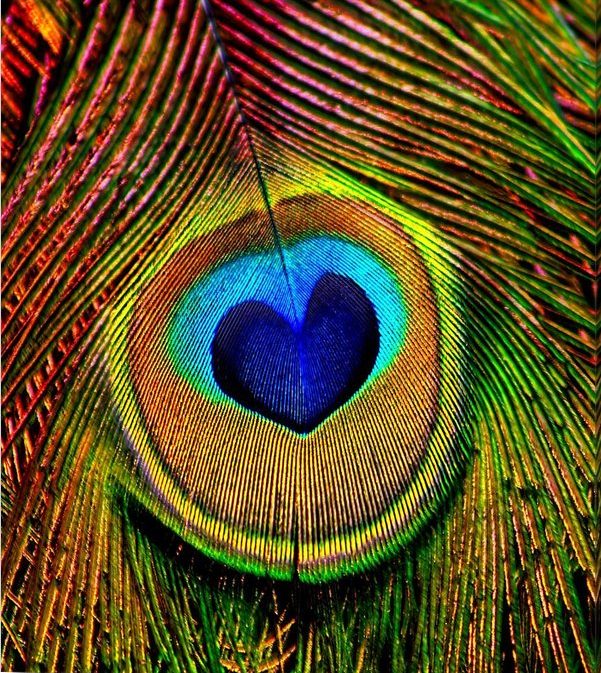 Iridescence - Leatrice Eiseman