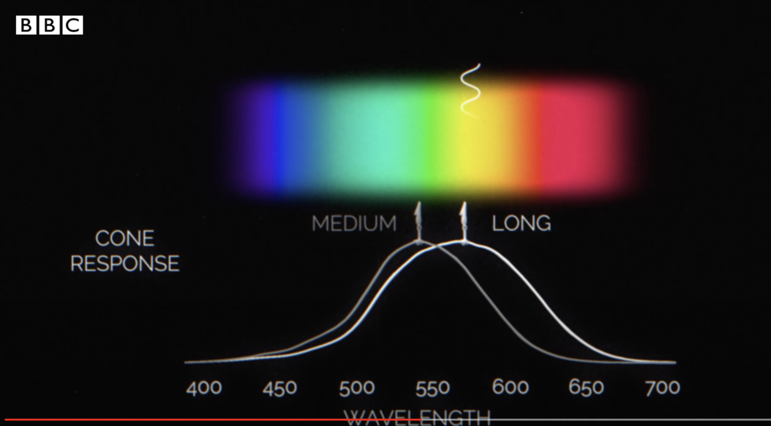 Magenta: the Color that Doesn’t Exist (from the BBC) - Leatrice Eiseman